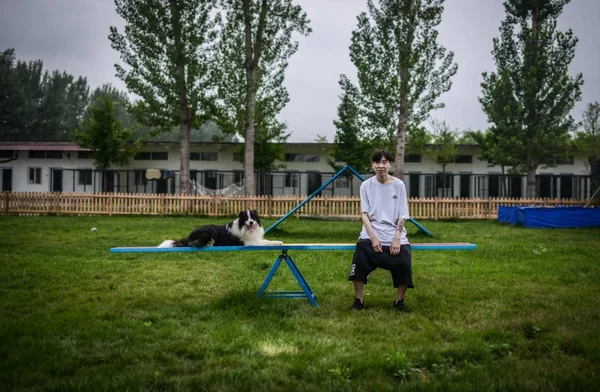 Chinese Post 80S Man Pictured His Border Collie Named Cera – Stock ...