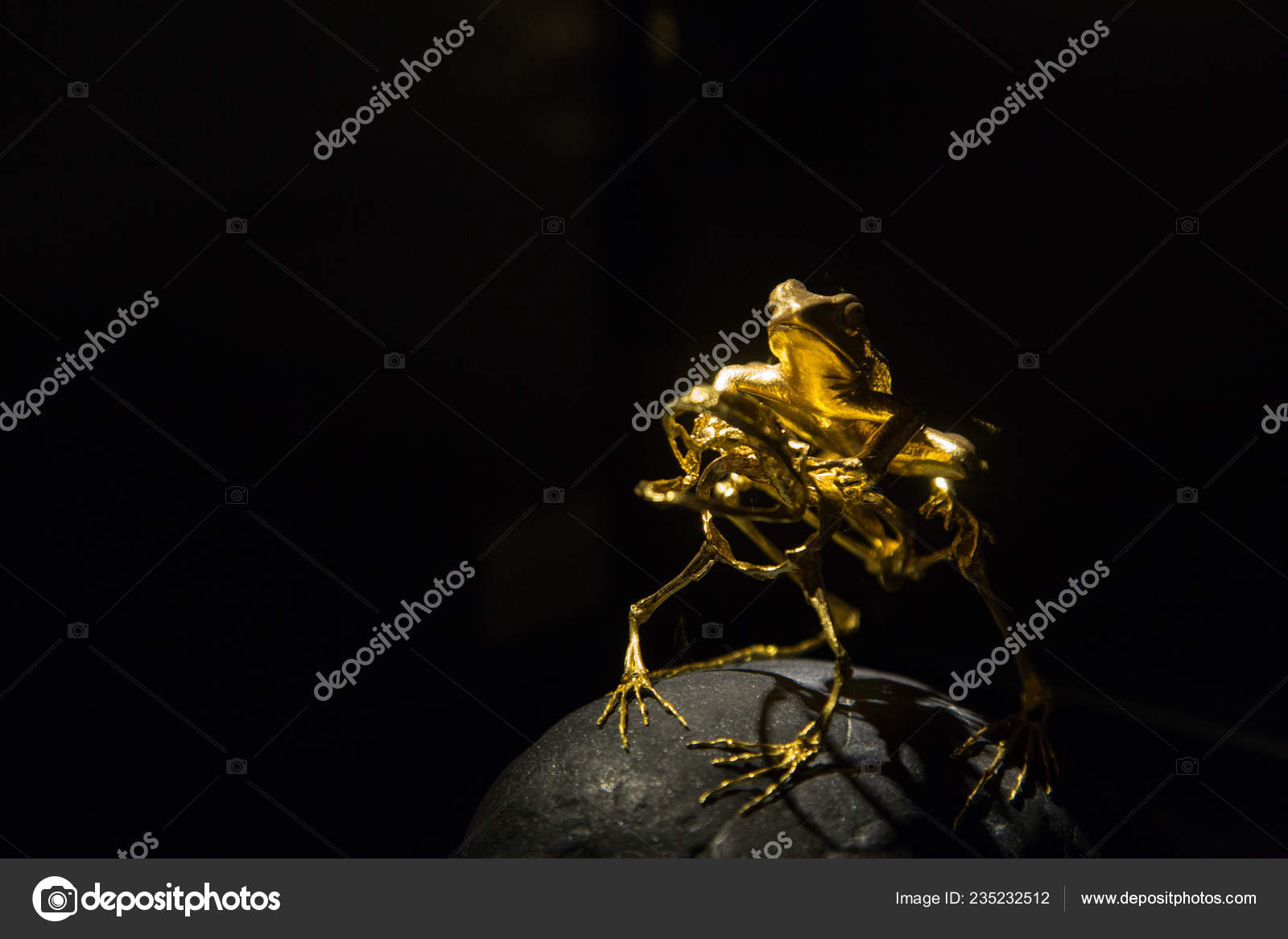 Golden Artwork Shape Frogs Created Taiwanese Sculptor Ching Display ...