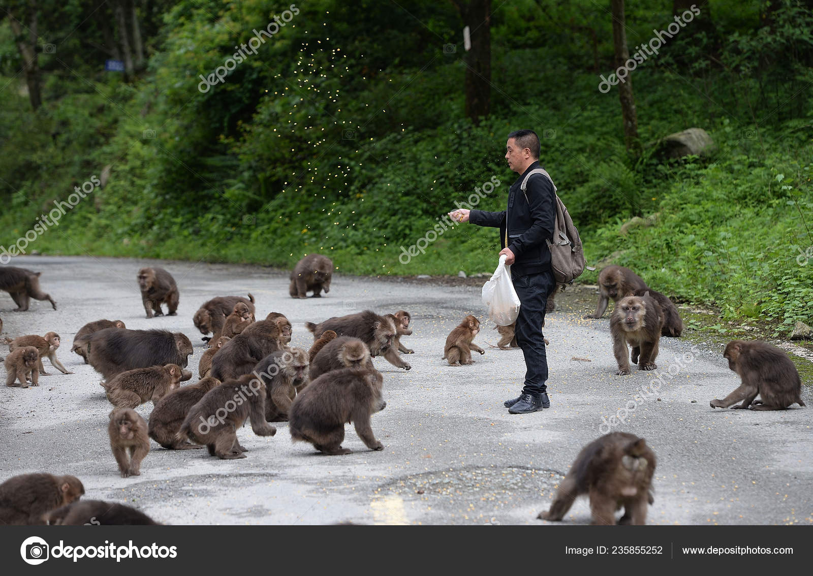 Man Zhang's Instagram, Twitter & Facebook on IDCrawl