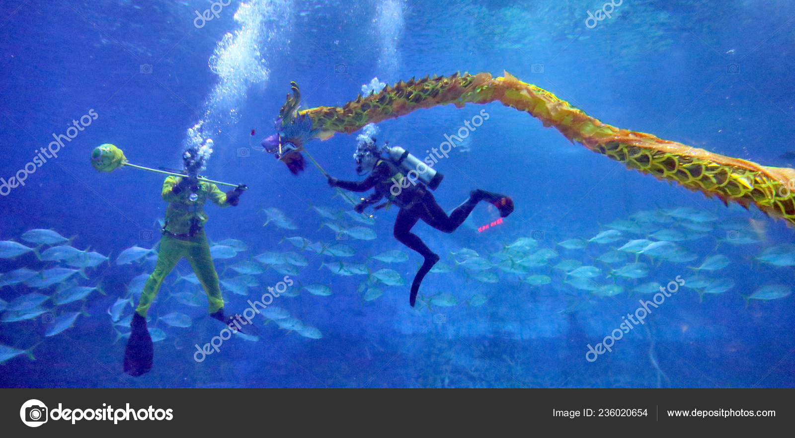 Divers Perform Dragon Dance Shark Other Sea Animals Underwater Show ...