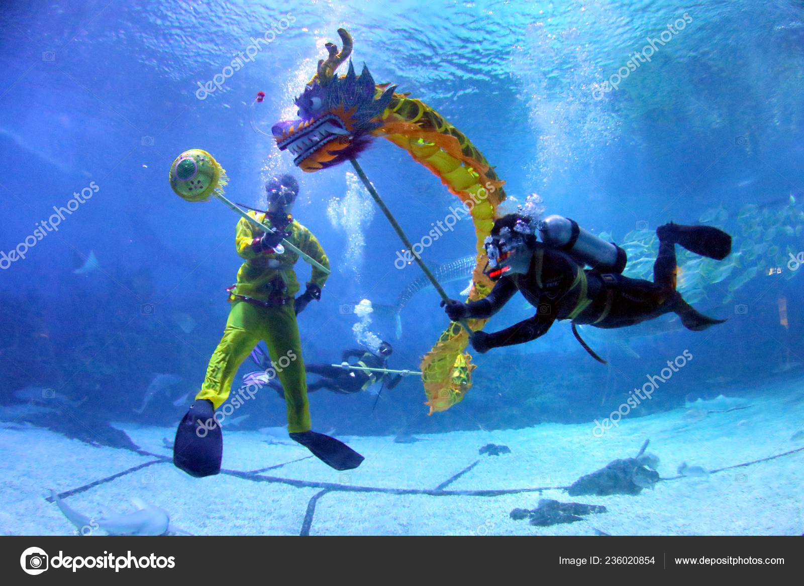 Divers Perform Dragon Dance Shark Other Sea Animals Underwater Show ...