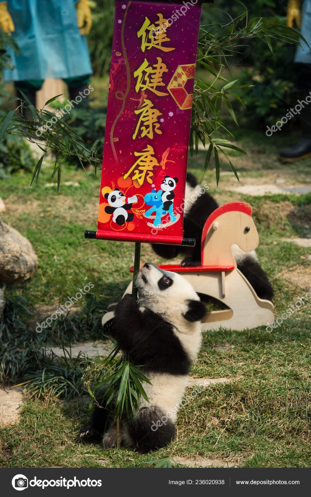 Panda Cubs Playing On Slide