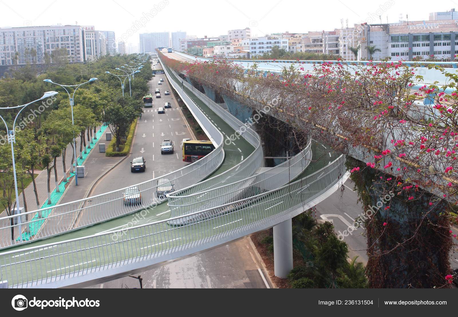 View China's First Elevated Bicycle Track Constructed Ground Xiamen ...