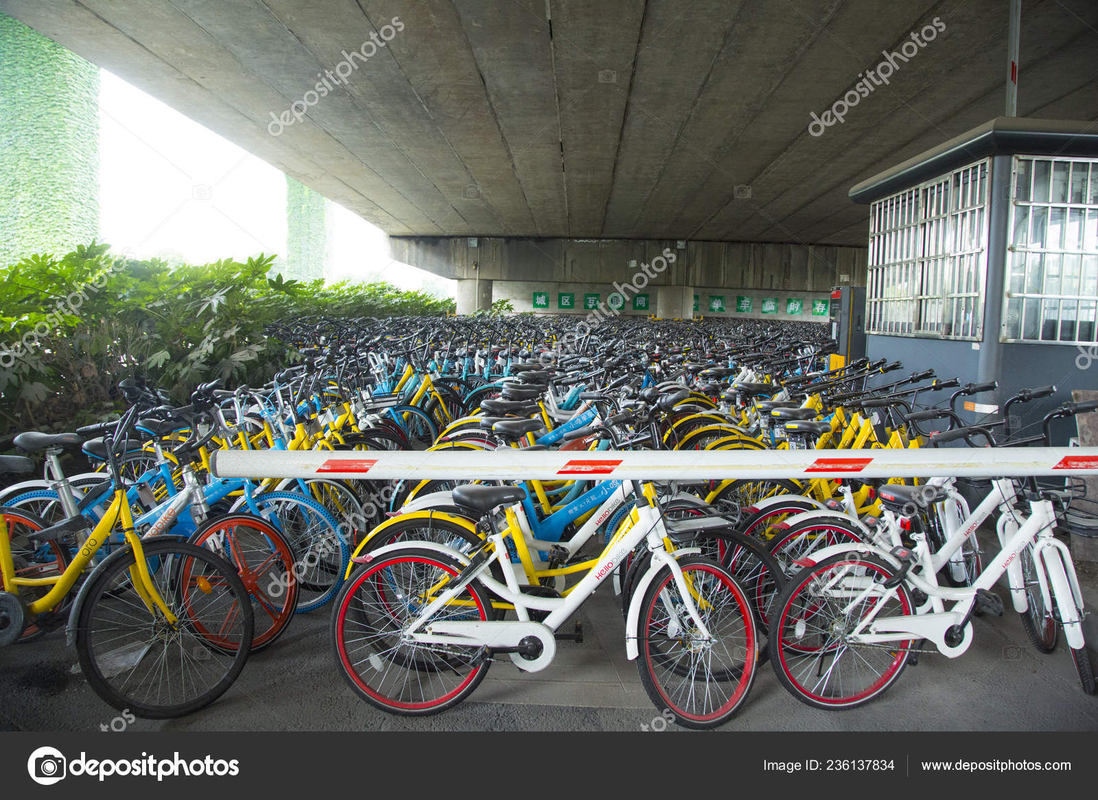 Bicycles Chinese Bike Sharing Services Lined Parking Lot Hangzhou City ...