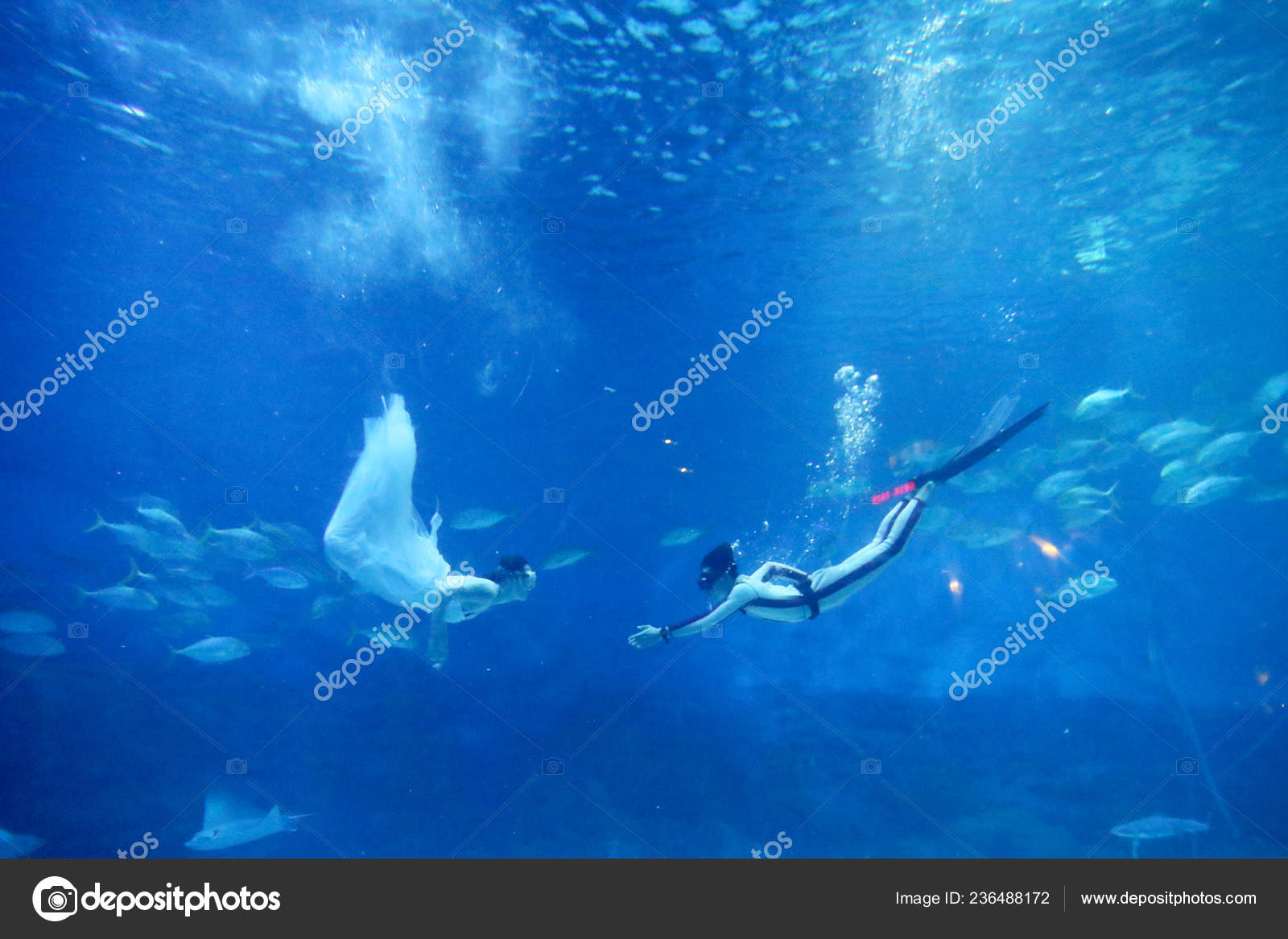 Divers Perform Surrounded Marine Animals Underwater Wedding Show Ahead ...