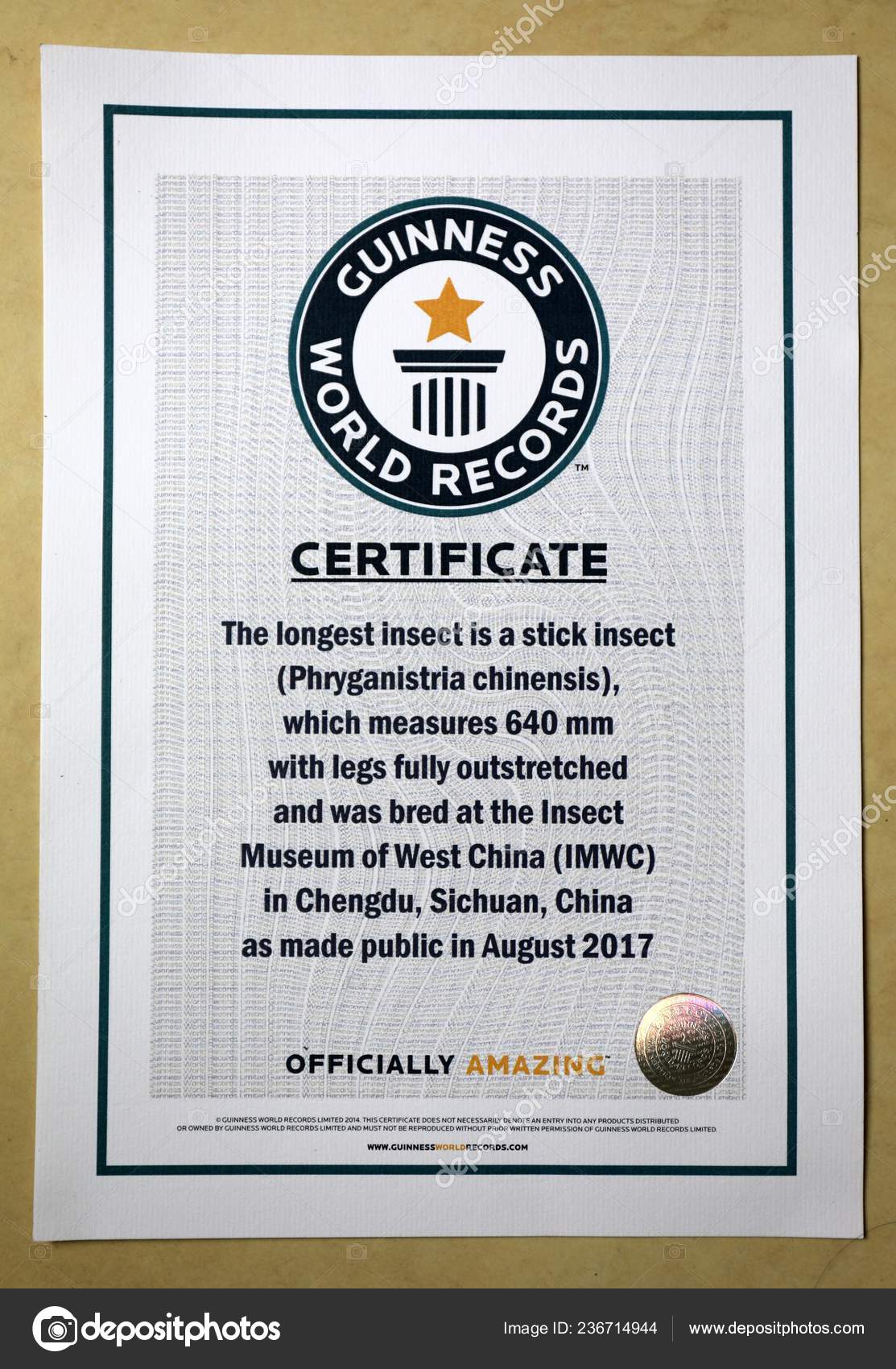 Guinness World Record Certificate Template