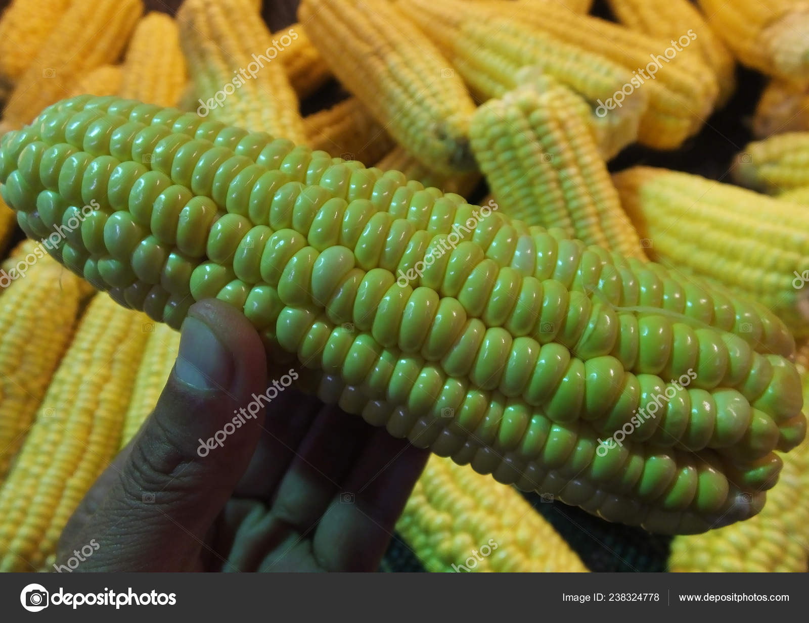 Customer Shops Corn Supermarket Yichang City Central China's Hubei ...