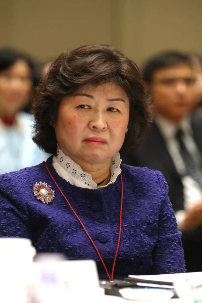 Zhang Yin Cheung Yan Founder Ceo Nine Dragons Paper Holdings – Stock ...