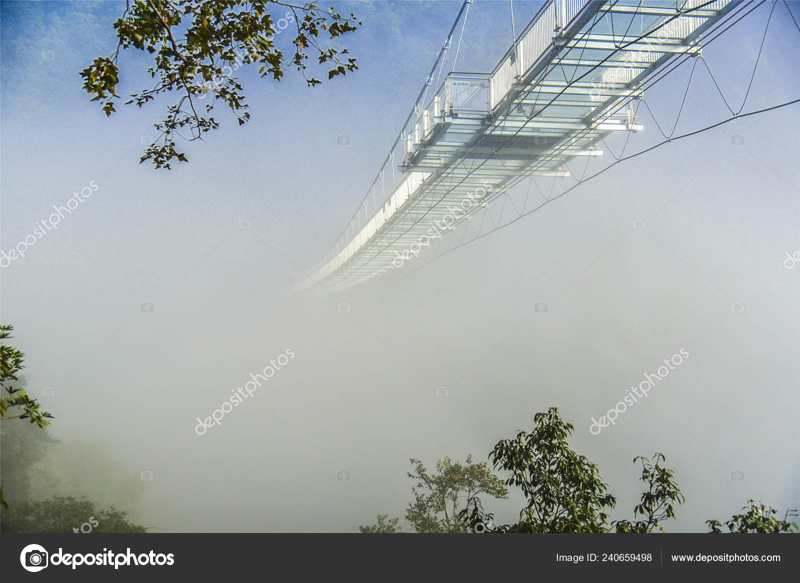 Landscape 218 Meter Long Glass Bridge Shrouded Sea Clouds Baojing ...