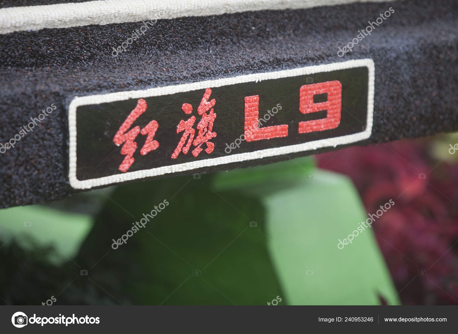 Full Scale Model Chinese Automaker Faw's Hongqi Red Flag Limousine ...