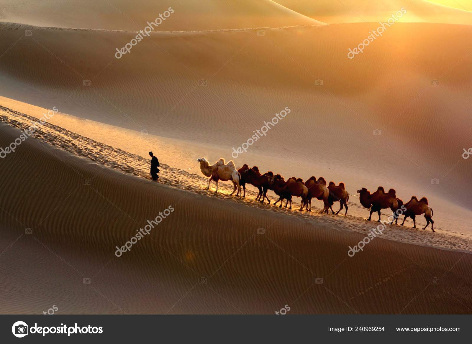 Taklamakan Desert Silk Road
