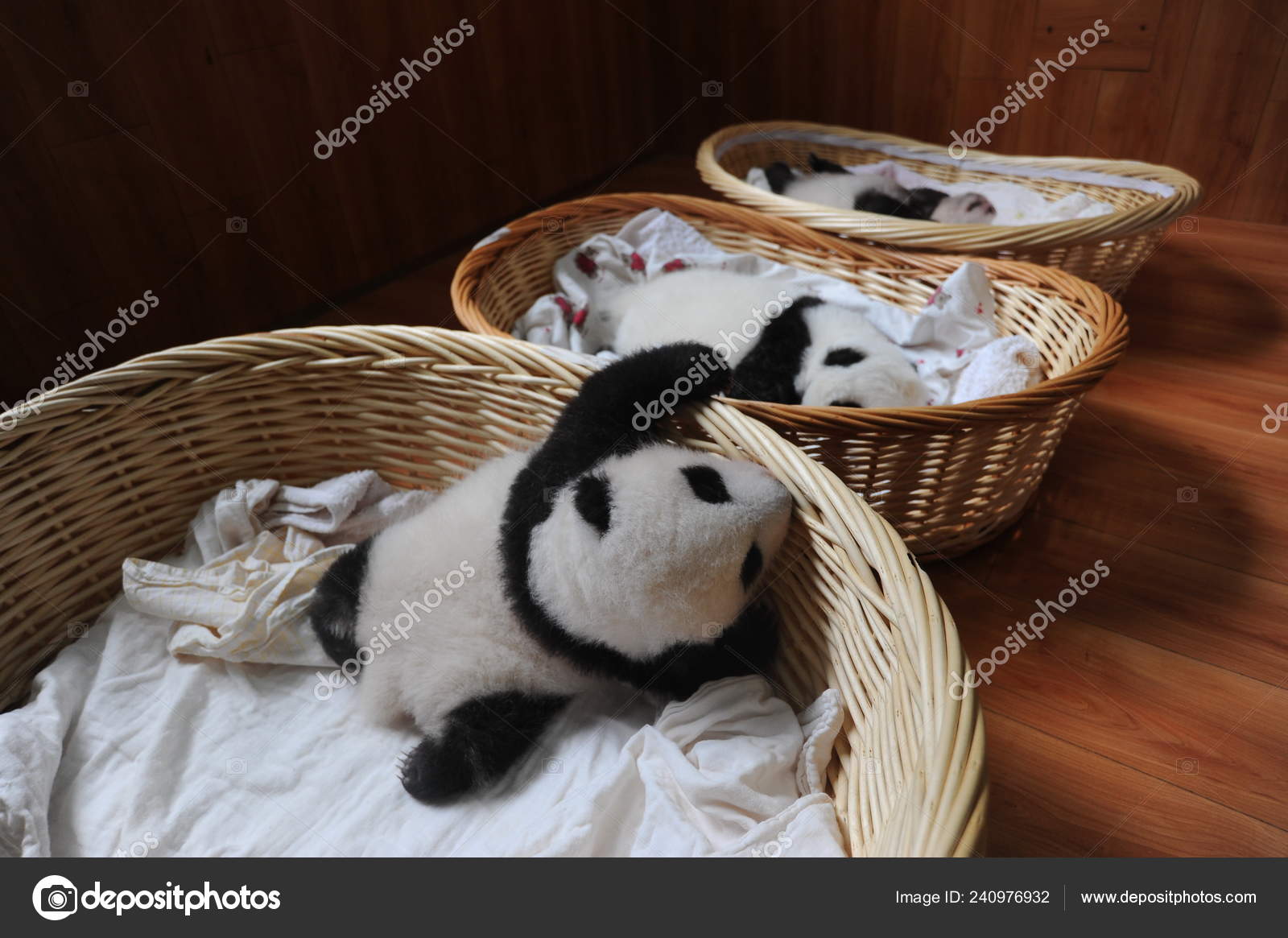 Giant Panda Cubs Pictured Baskets Ya'an Bifengxia Giant Panda Breeding ...