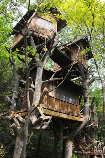 Broken tree house Stock Photos, Royalty Free Broken tree house Images ...
