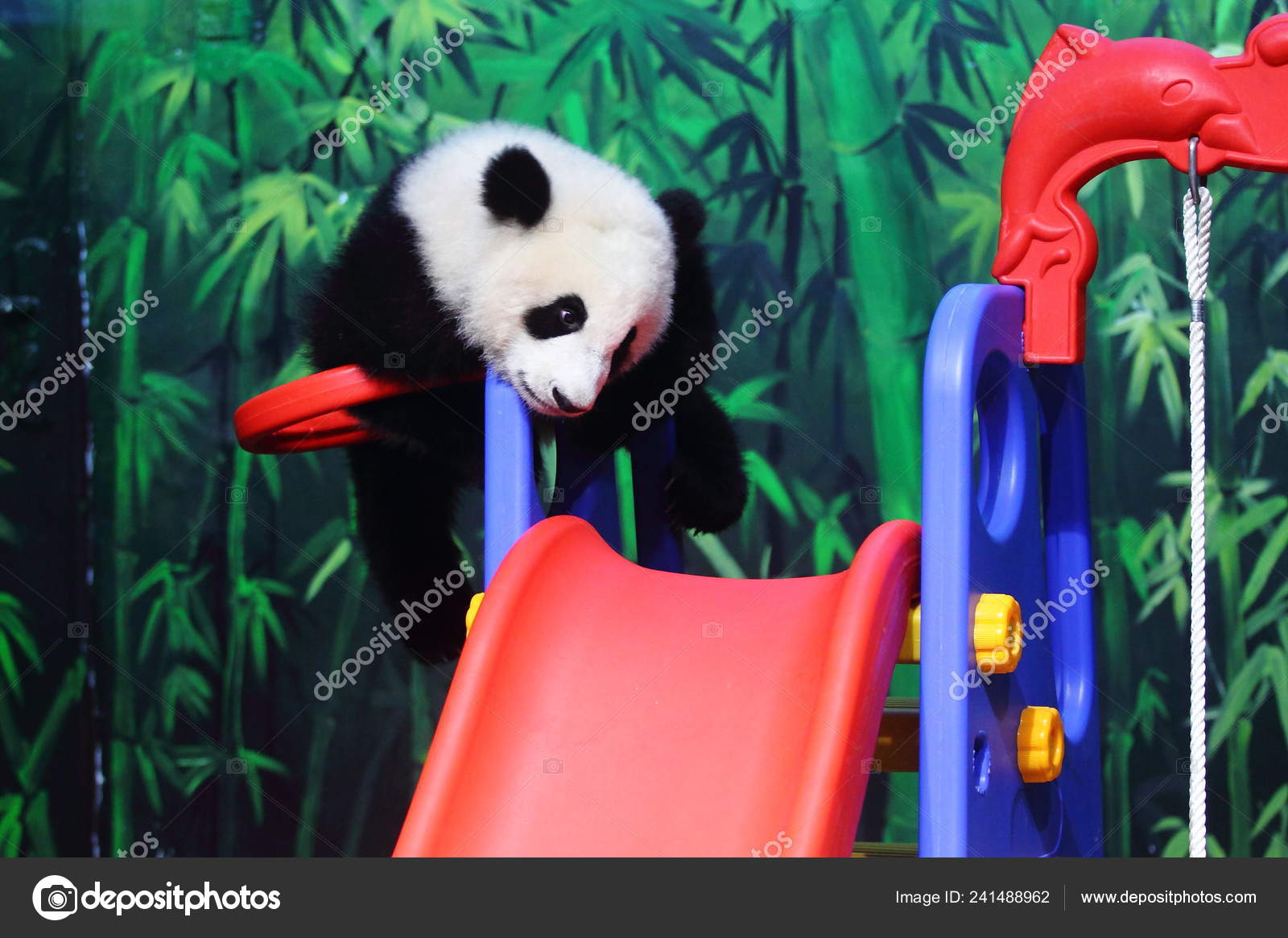 Panda Cubs Playing On Slide