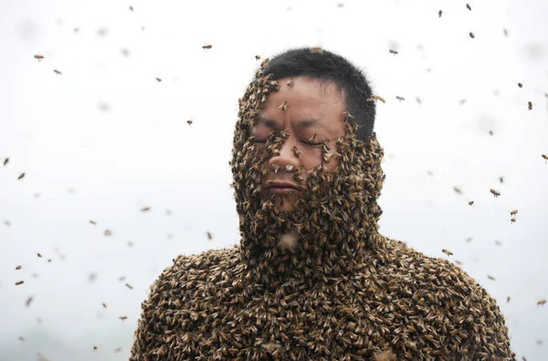 Vietnamese beekeeper Stock Photos, Royalty Free Vietnamese beekeeper ...