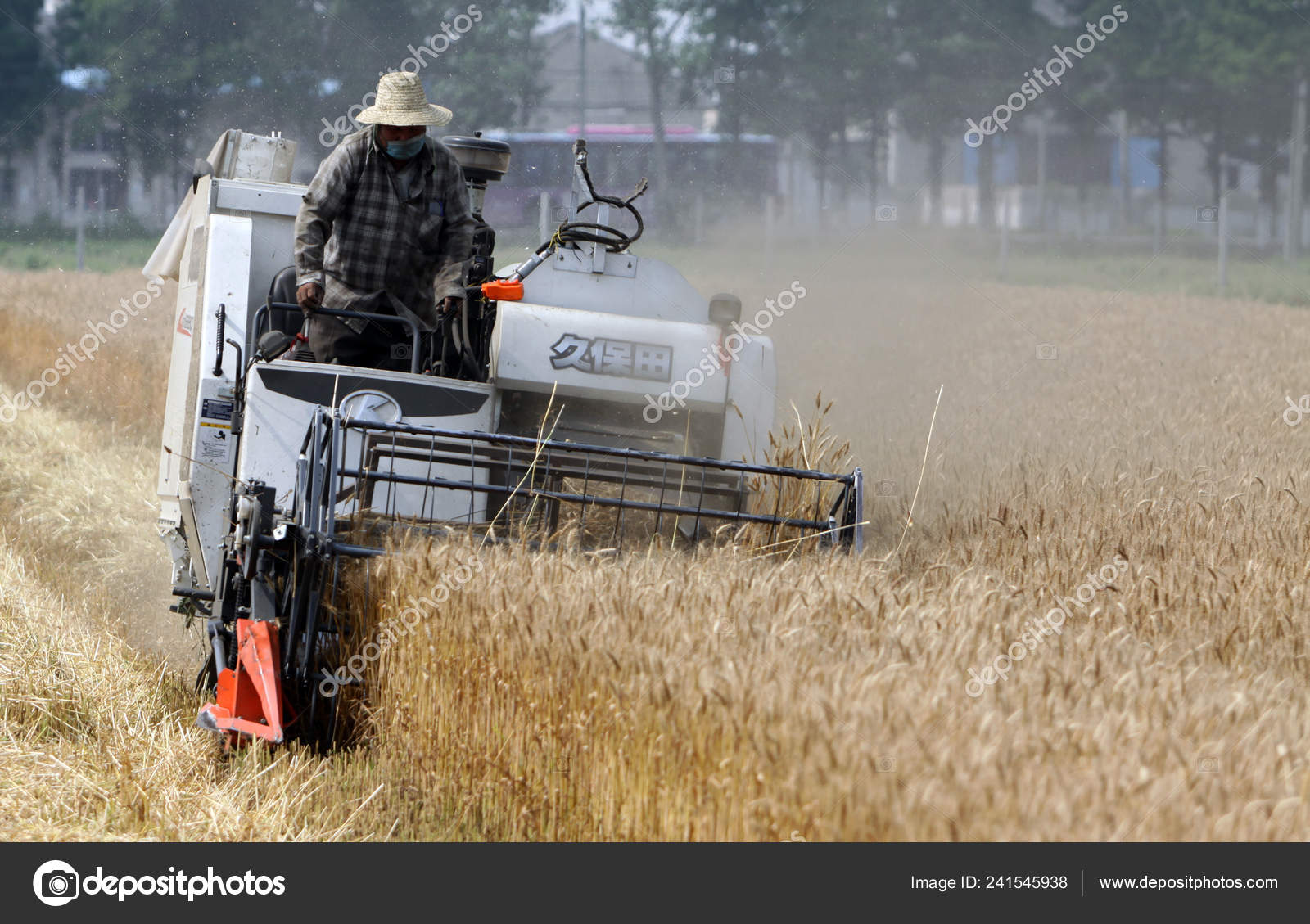 Chinese Farmer Drives Reaping Machine Harvest Wheat Field Changsheng ...