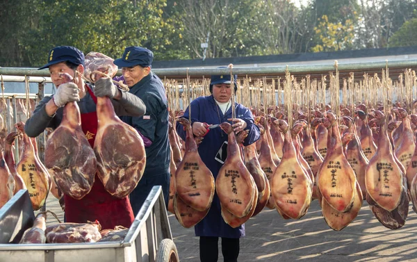 Chinese Workers Convey Killed Pigs Slaughterhouse Haining City East ...