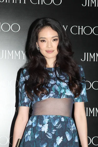 Hong Kong Actress Maggie Cheung Poses Charity Event Shanghai December ...