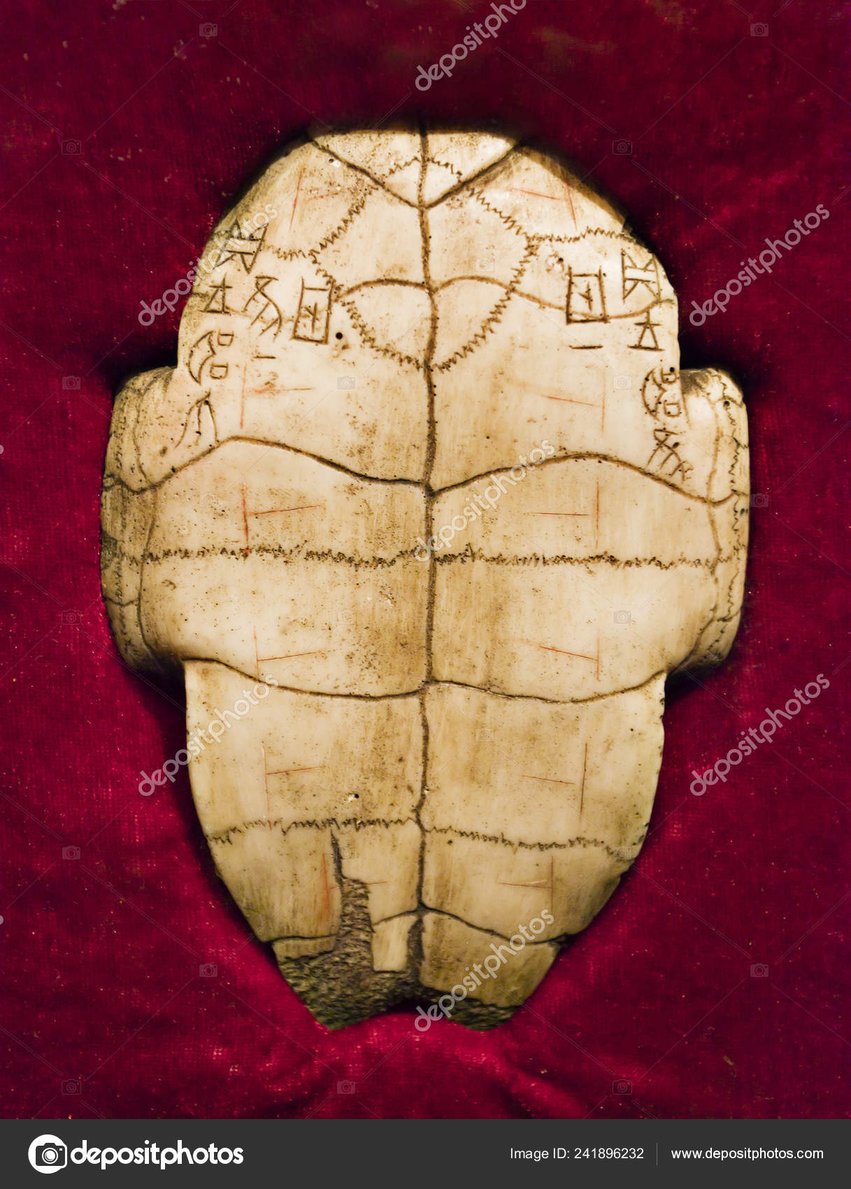Shang Dynasty Artifacts Oracle Bones