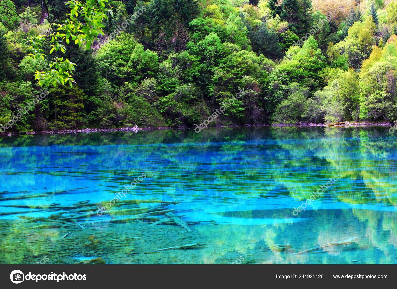 Landscape Five Color Pond Jiuzhaigou Valley Jiuzhaigou County Aba ...
