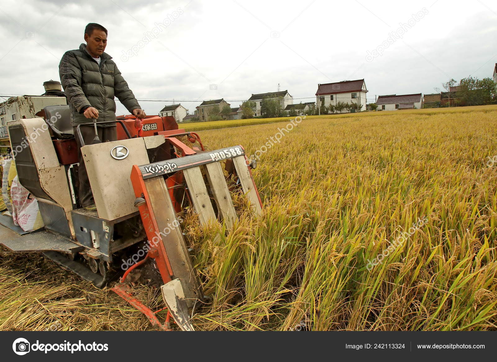 File Chinese Farmer Drives Reaping Machine Harvest Rice His Fields ...