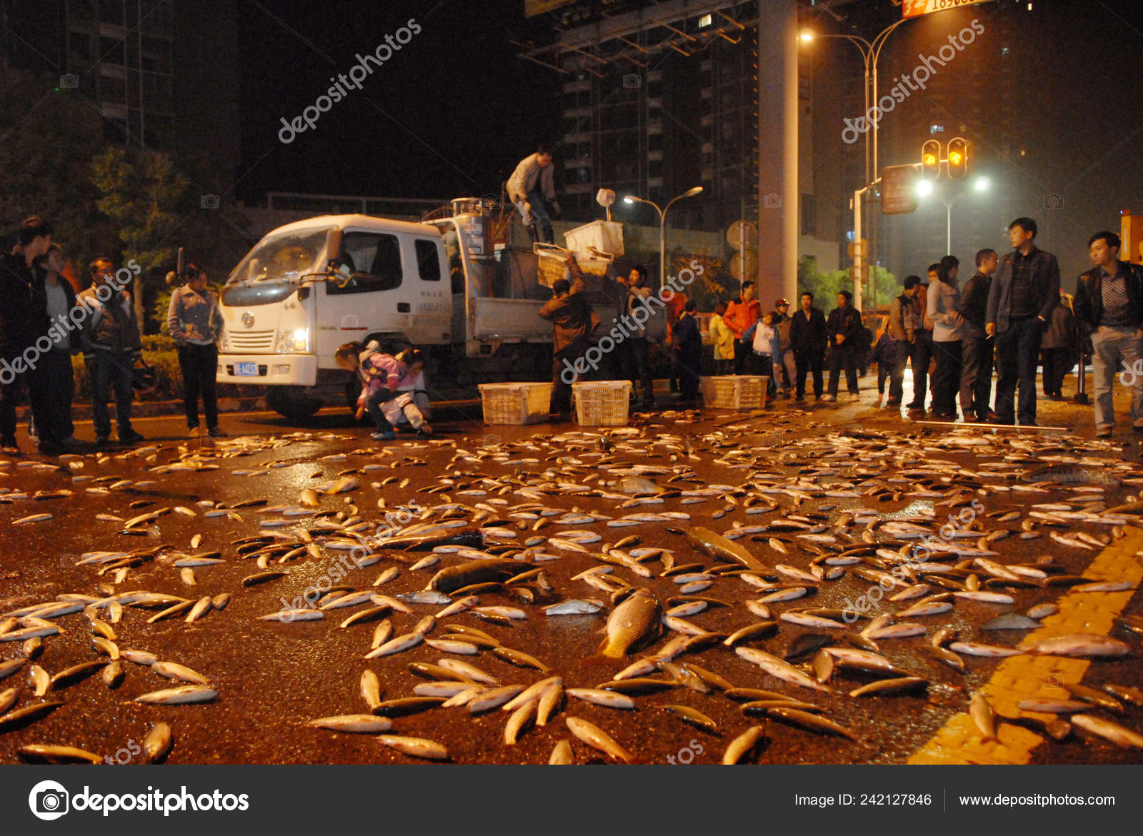 Chinese Bystanders Look Fish Lying Road Truck Loaded Collided Car ...