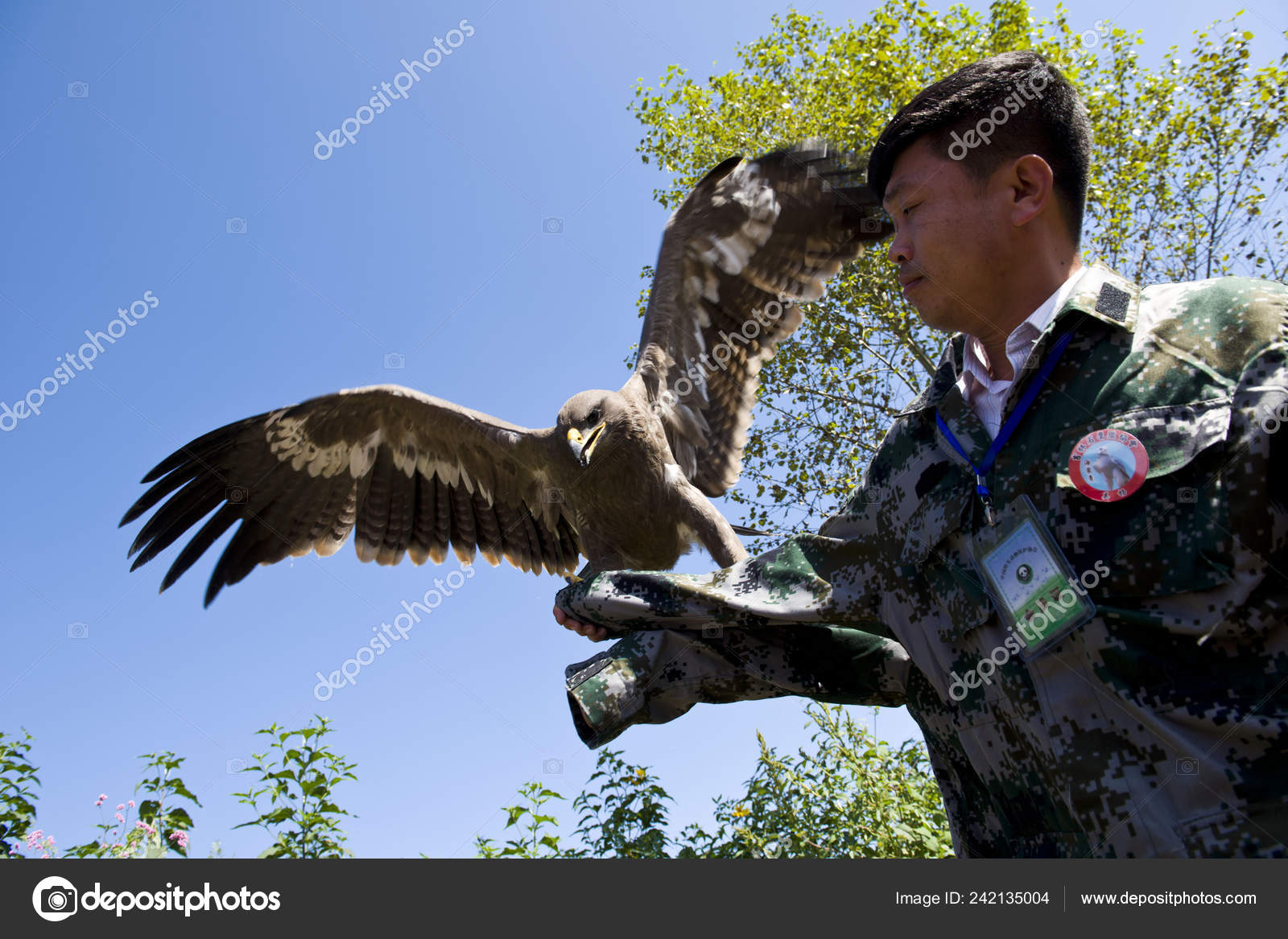 Chinese Hunter Shows His Falcon Launch Ceremony Falcon Hunting Cultural ...