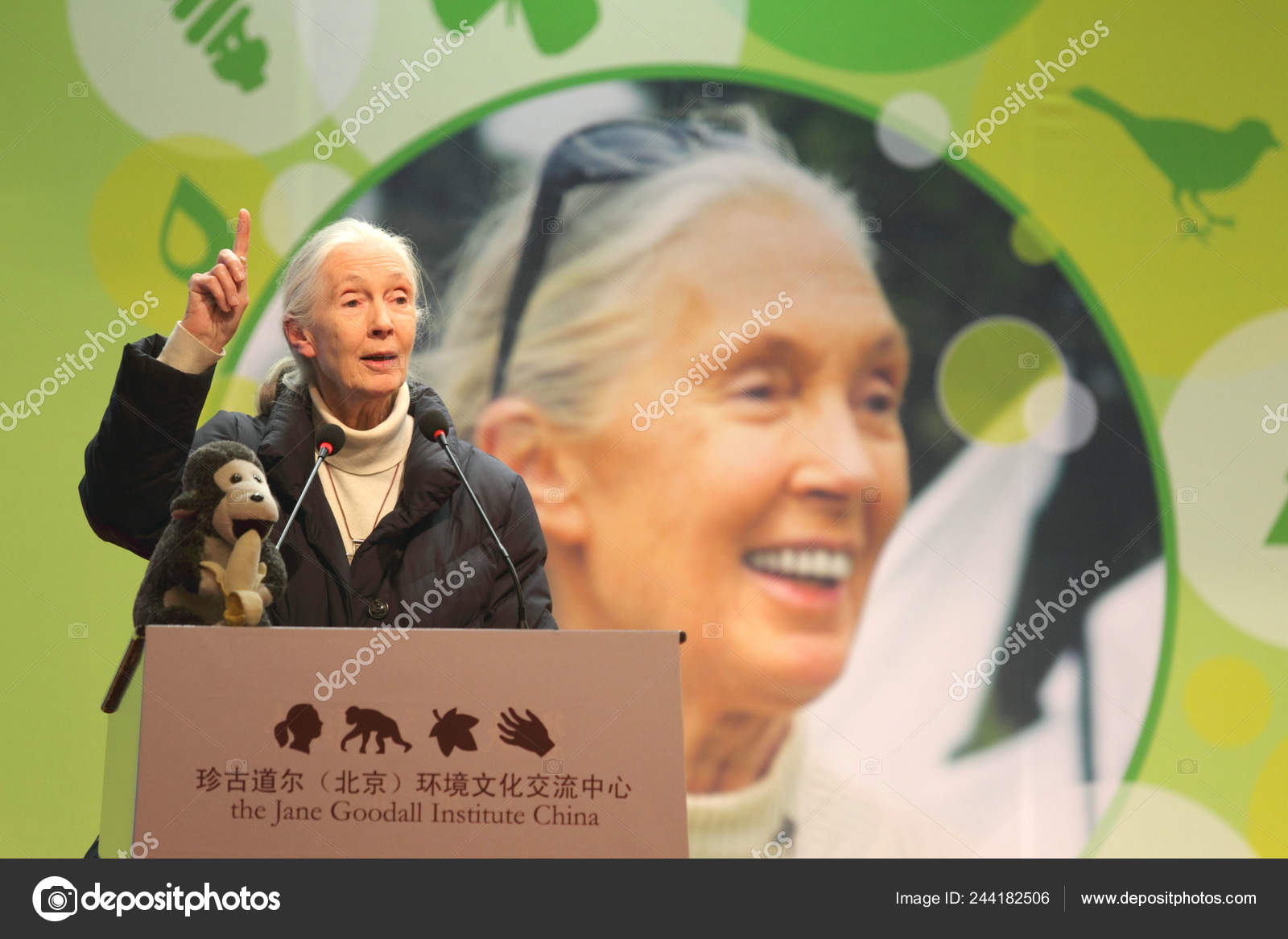 British Primatologist Ethologist Anthropologist Messenger Peace Jane ...