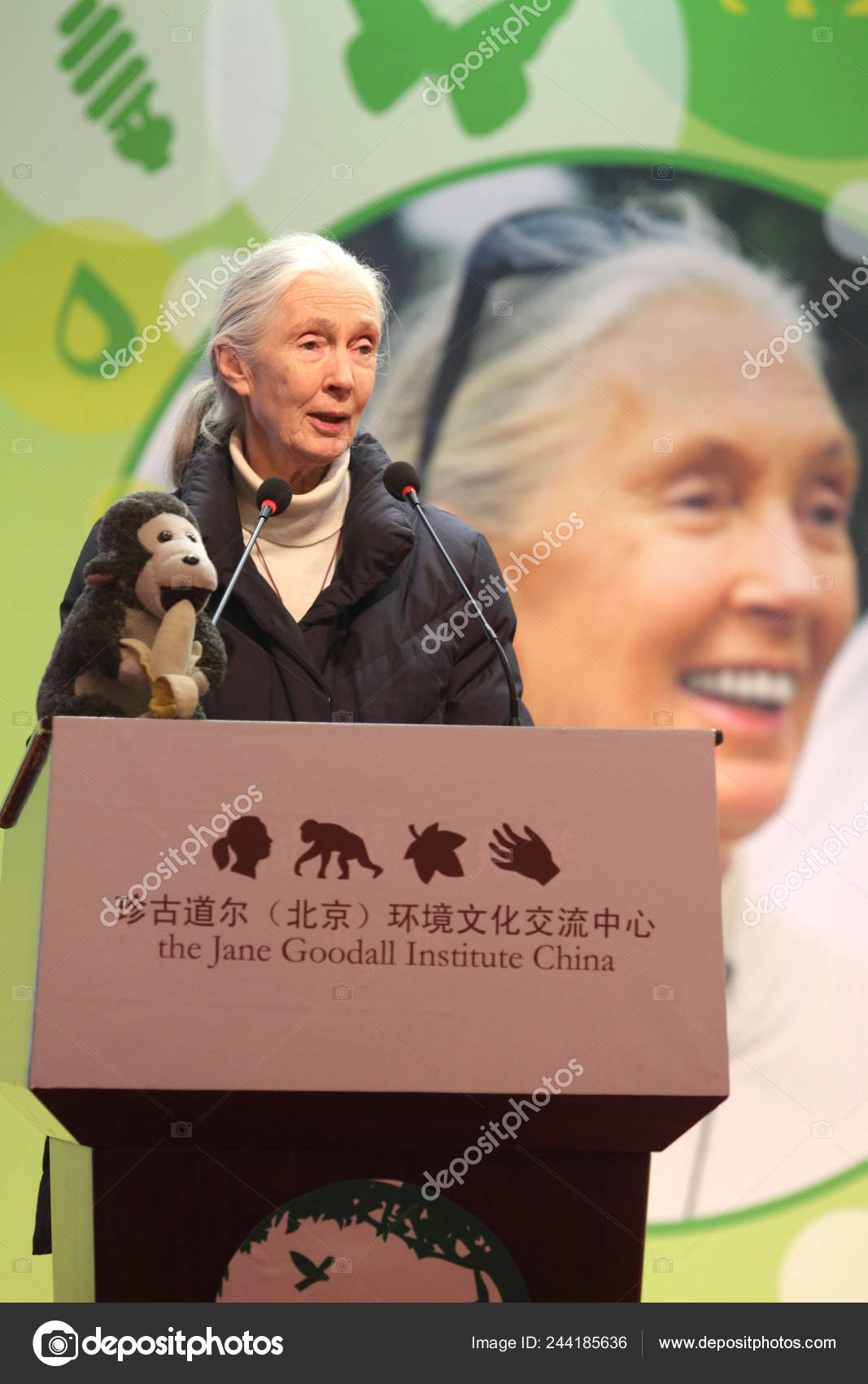British Primatologist Ethologist Anthropologist Messenger Peace Jane ...