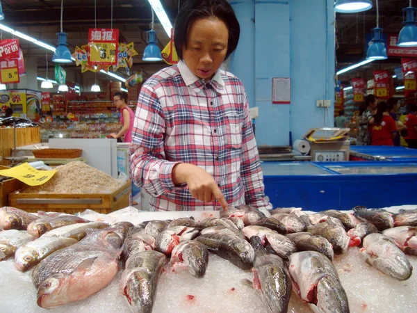 Giant Chinese Seerfish Sale Seafood Market Qingdao City East China ...
