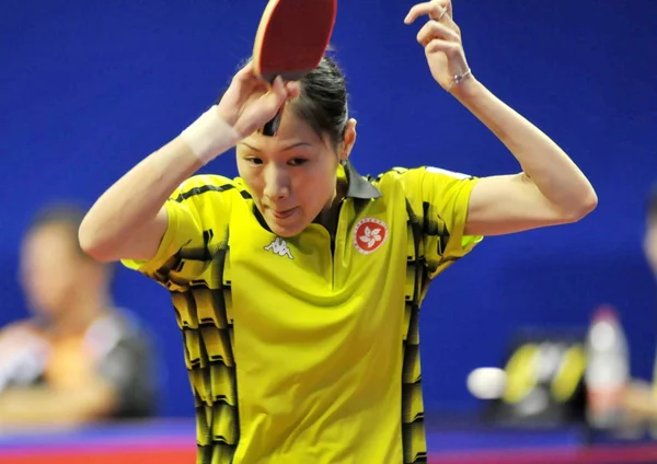 Reiko Stock Photos, Royalty Free Reiko Images | Depositphotos