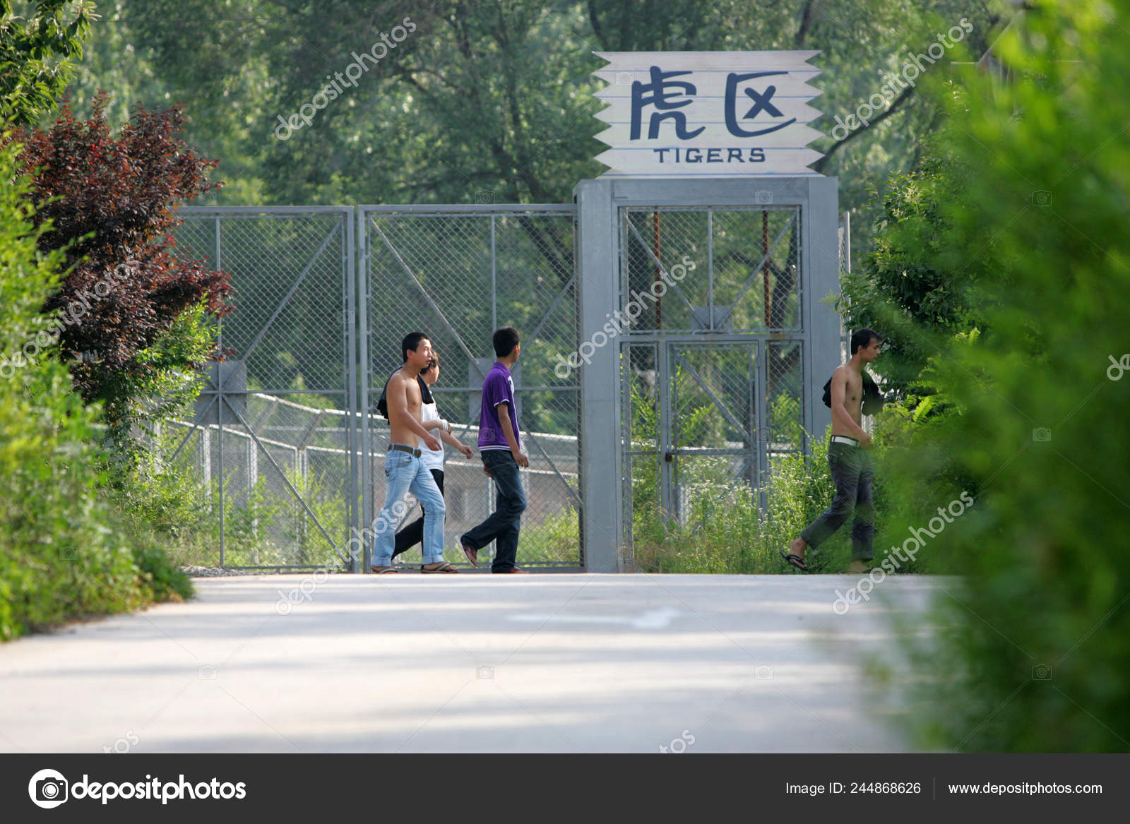 Visitors Walk Tiger Zone Qinling Wild Animal Park Xian Northwest ...