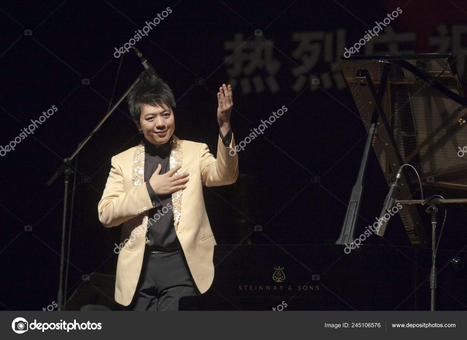Chinese Pianist Lang Lang Greets Audience His New Year Concert — Stock ...