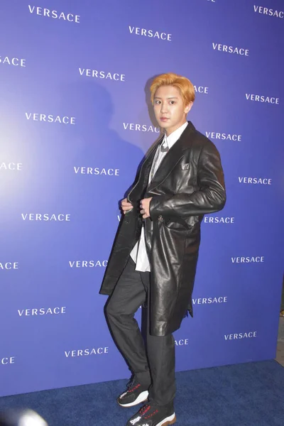 Stiliste pes Stock Photos, Royalty Free Stiliste pes Images | Depositphotos