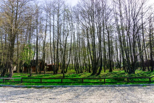 Rustic park Stock Photos, Royalty Free Rustic park Images | Depositphotos