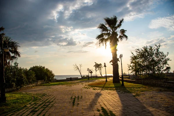 Tel aviv landscape Stock Photos, Royalty Free Tel aviv landscape Images ...