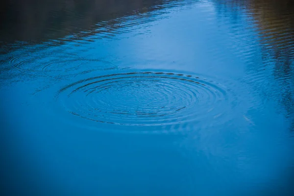 Water ripple Stock Photos, Royalty Free Water ripple Images | Depositphotos