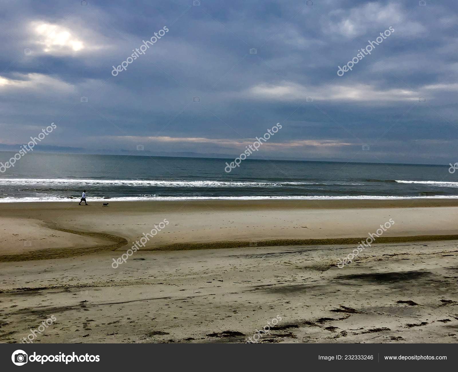 Long Dog Walk Beach — Stock Photo © Johncasselman #232333246