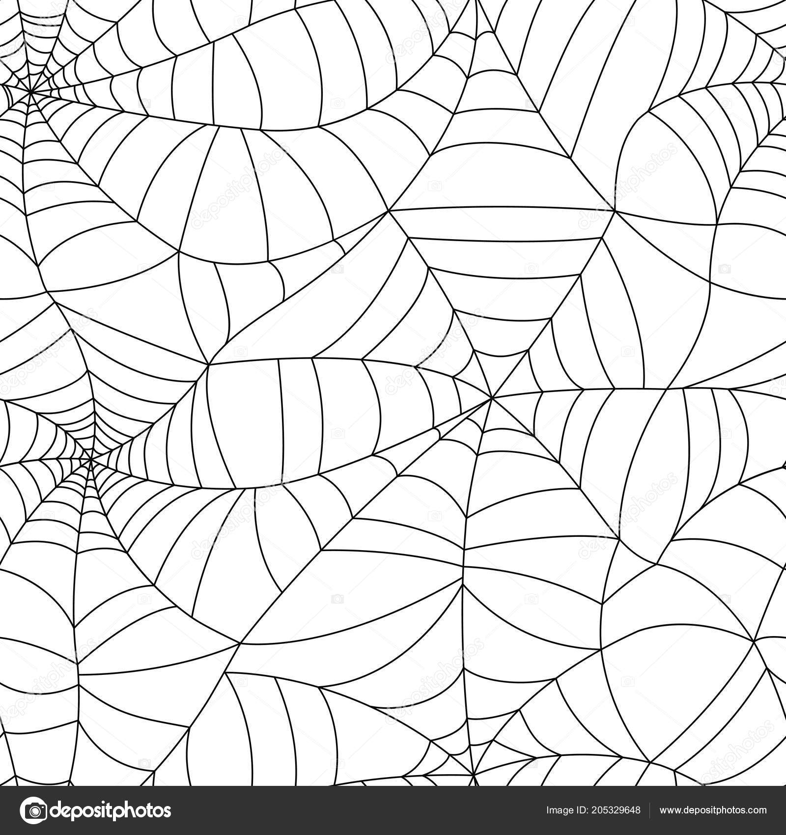 Spider Web Pattern Vector