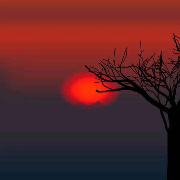 100,000 Dreamtime Vector Images | Depositphotos