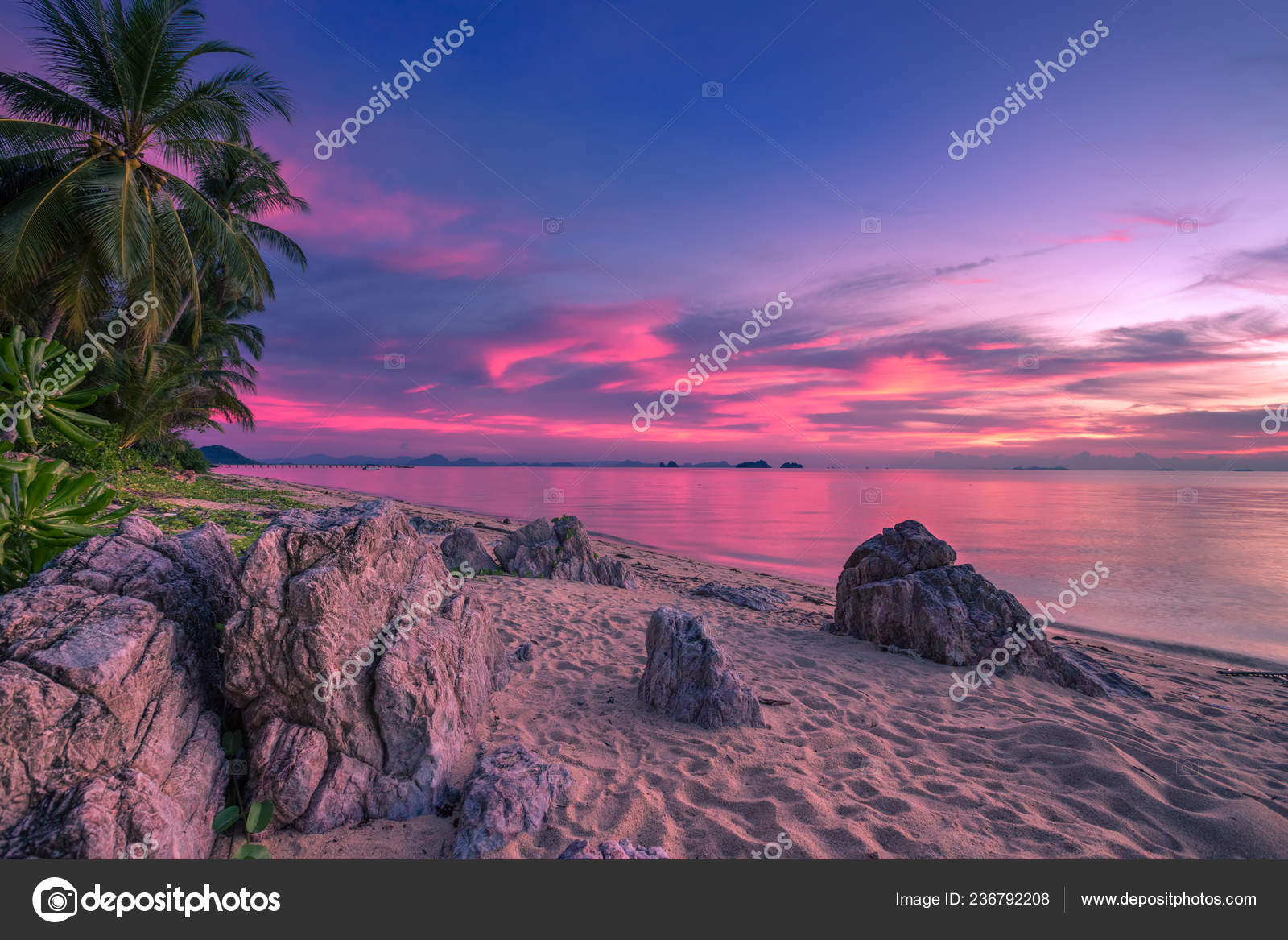 Tropical Pink Sunset