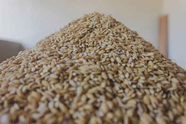 ᐈ Chuski stock images, Royalty Free chuski photos photos | download on ...