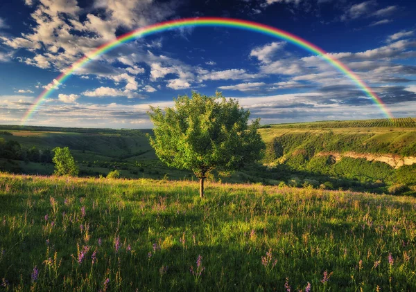 Rainbow in nature Stock Photos, Royalty Free Rainbow in nature Images ...