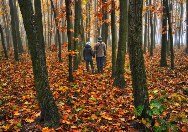 Couple walking forest Stock Photos, Royalty Free Couple walking forest ...