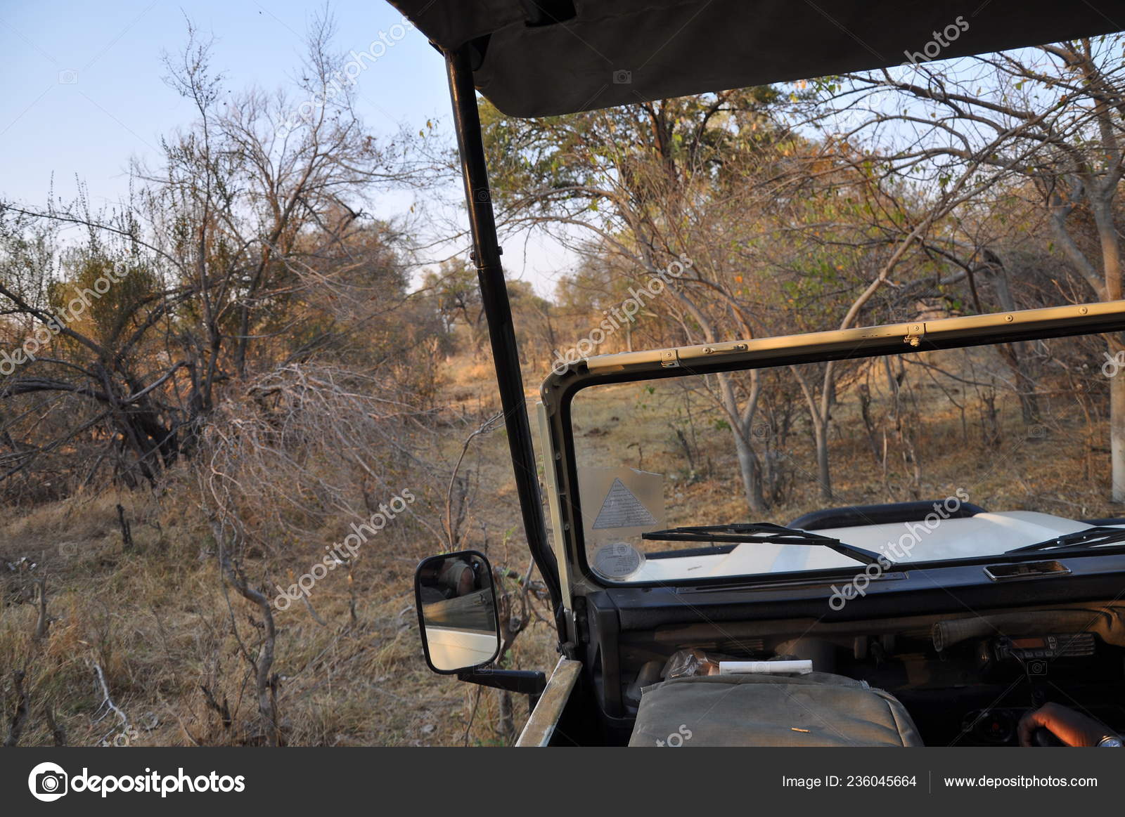 Landscape Okavango Delta Stock Photo by ©claudiovidri 236045664