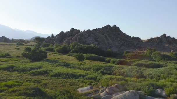 118,667 Vida selvagem Vídeos, Filmagens de Stock sem royalties Vida ...