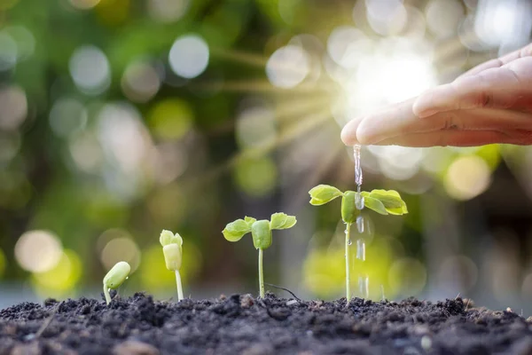 Agricultural sustainability Stock Photos, Royalty Free Agricultural ...