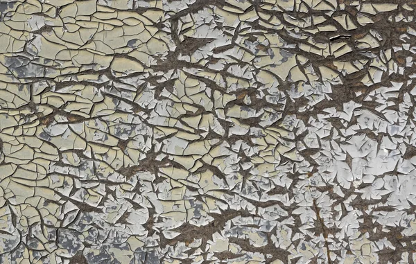 Paint Peel — Stock Photo © Nedilko #2965143