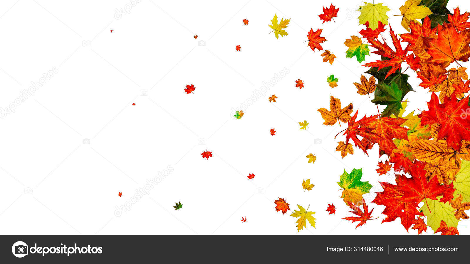 November Leaves Border