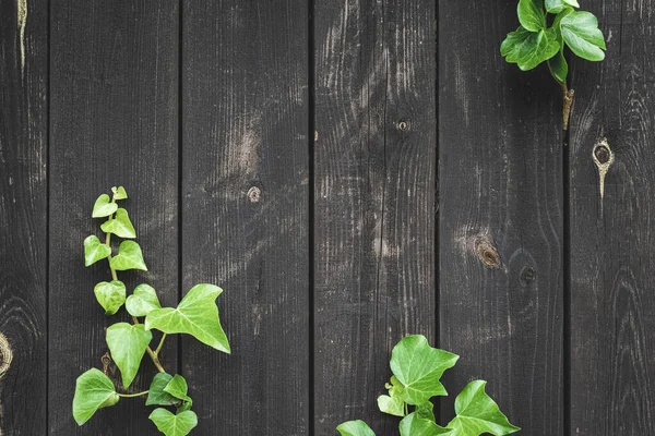 Tekstur meja kayu. Tembok permukaan papan kayu untuk wallpaper grunge ...